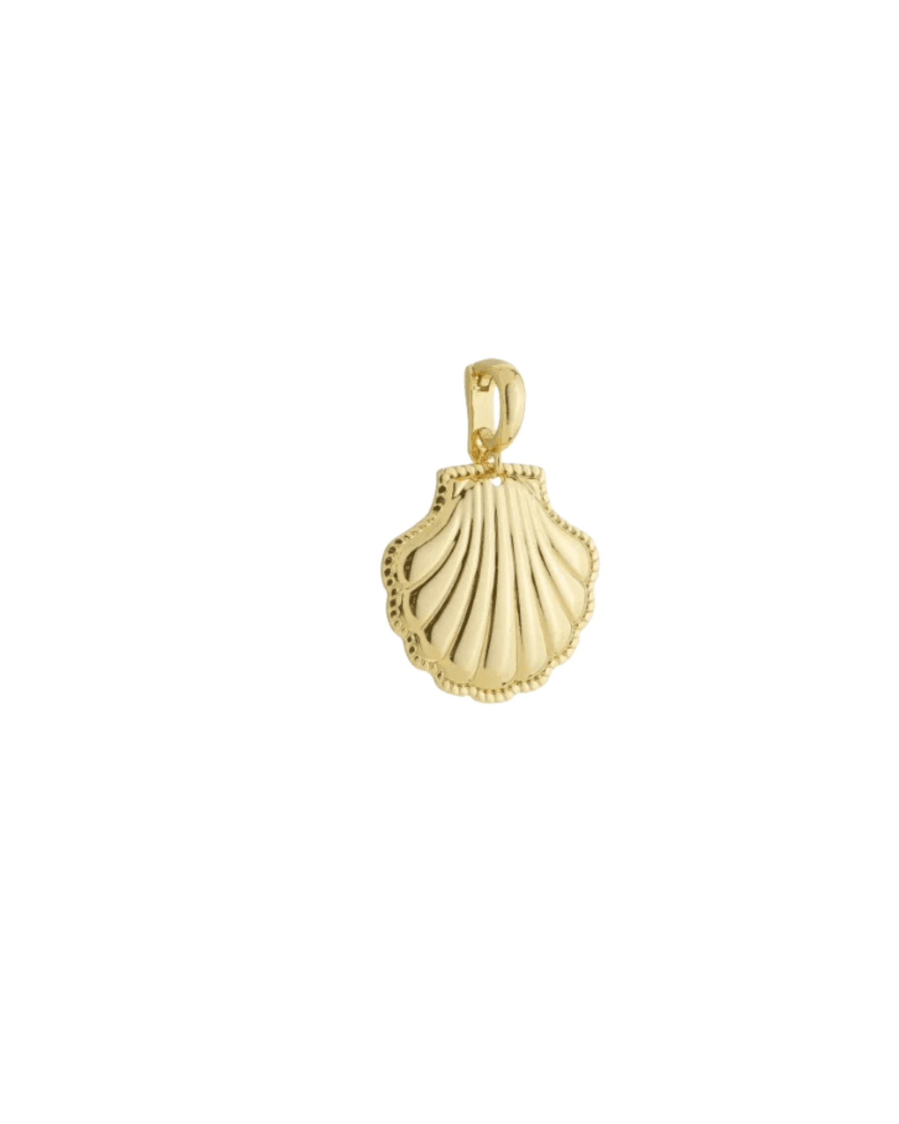 Charm Seashell – Jade Shop